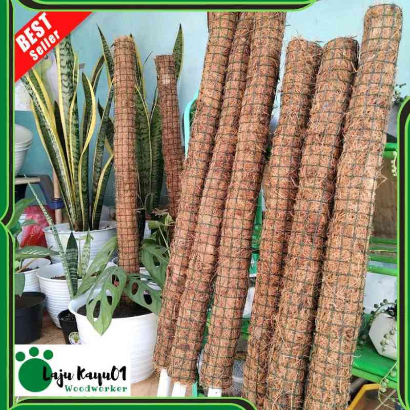 Jual Turus Rambatan Penyangga Tanaman Dari Serabut Kelapa Tinggi 50cm ...