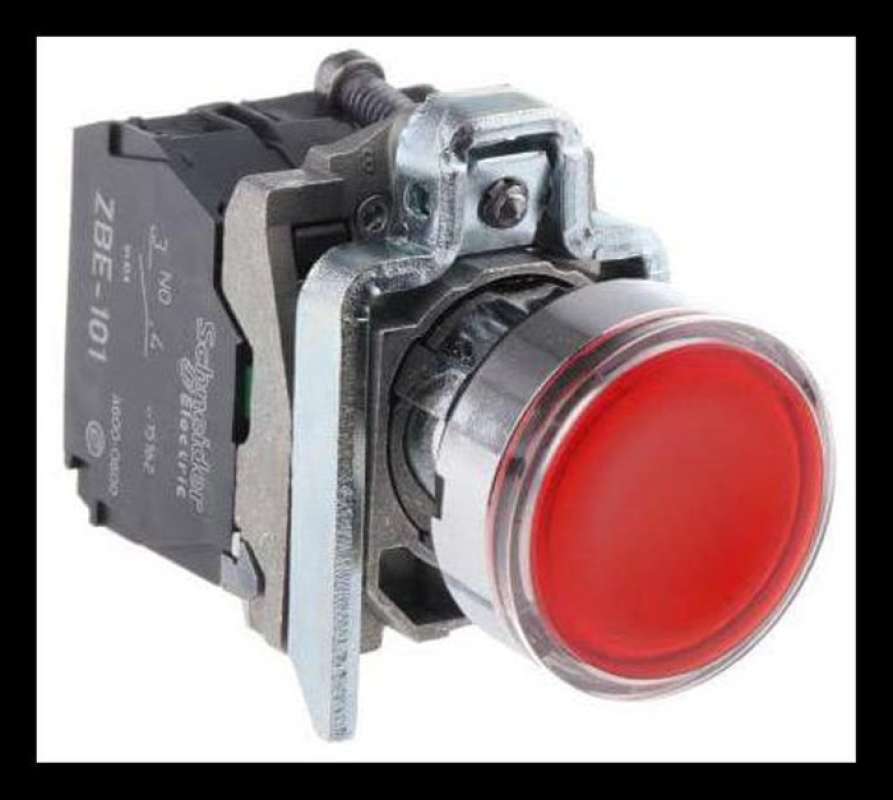 Jual SCHNEIDER ILLUMINATED PUSH BUTTON 110VAC MODULAR TYPE METAL ...
