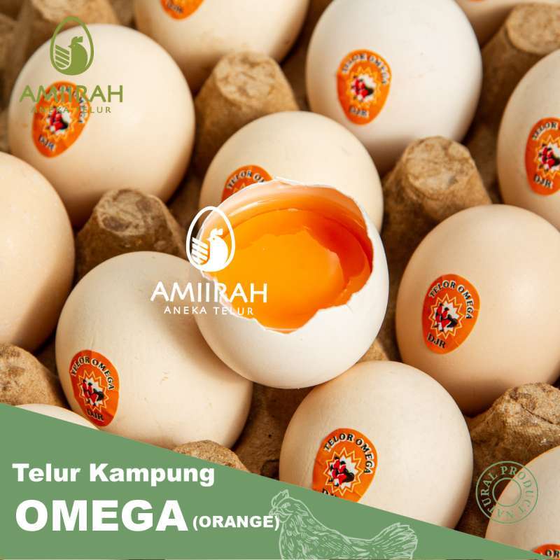 Jual Telur Ayam Kampung Omega Merah Termurah - Harga Grosir Terupdate ...