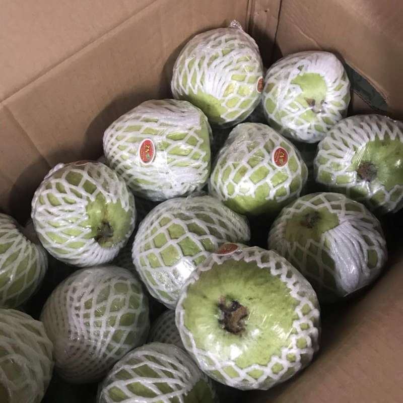 Jual Buah jambu mutiara super 1 kg Halal di Seller Happy Fruit Jakarta ...