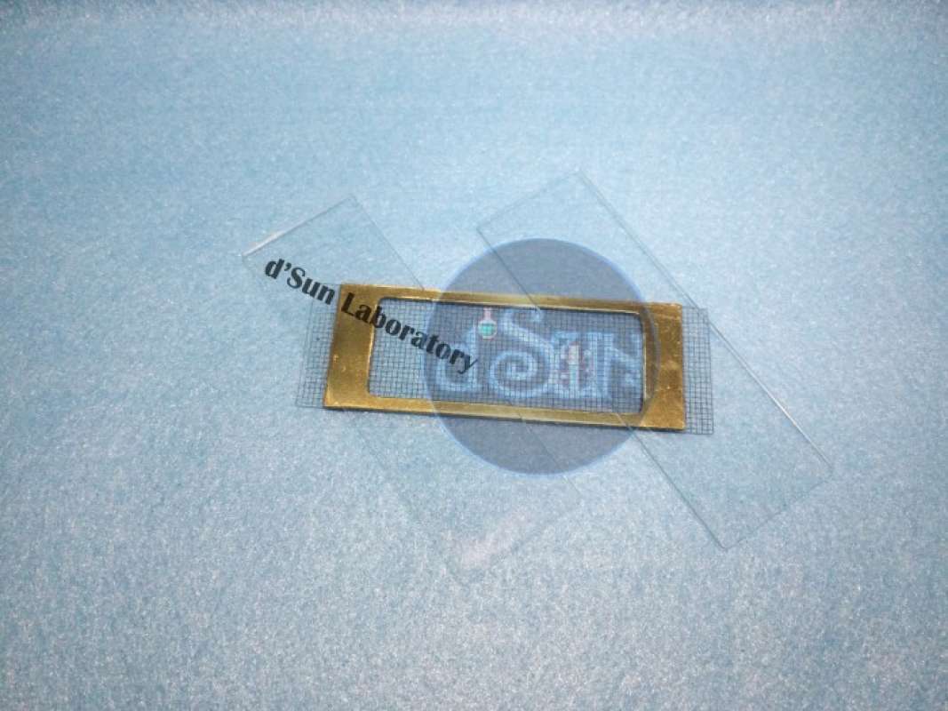 Lab Instruments & Equipment Sedgewick Rafter Cell - Cell Counting ...