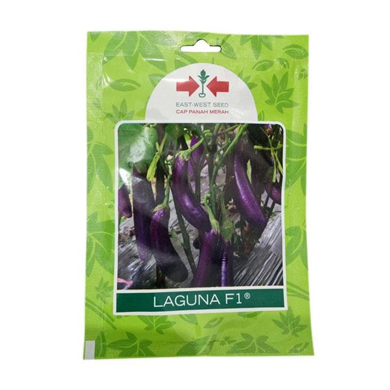 Jual Panah Merah Benih Bibit Terong Ungu Laguna F1 [5 g] di Seller Bakulku Online - Langka Pura ...