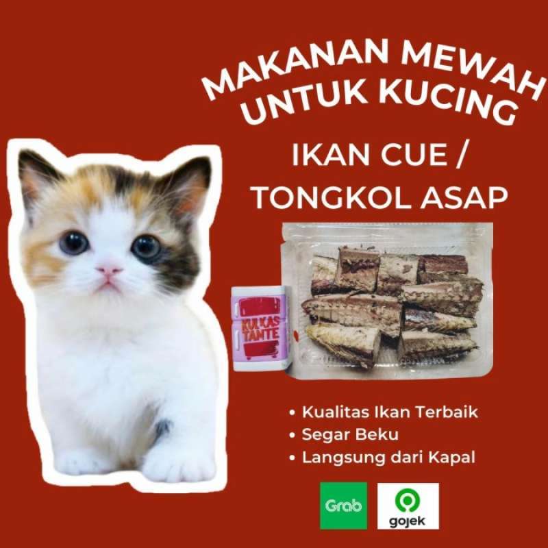 Promo Makanan Kucing Berbasis Ikan Cue Potong Kecil Diskon 16% di ...