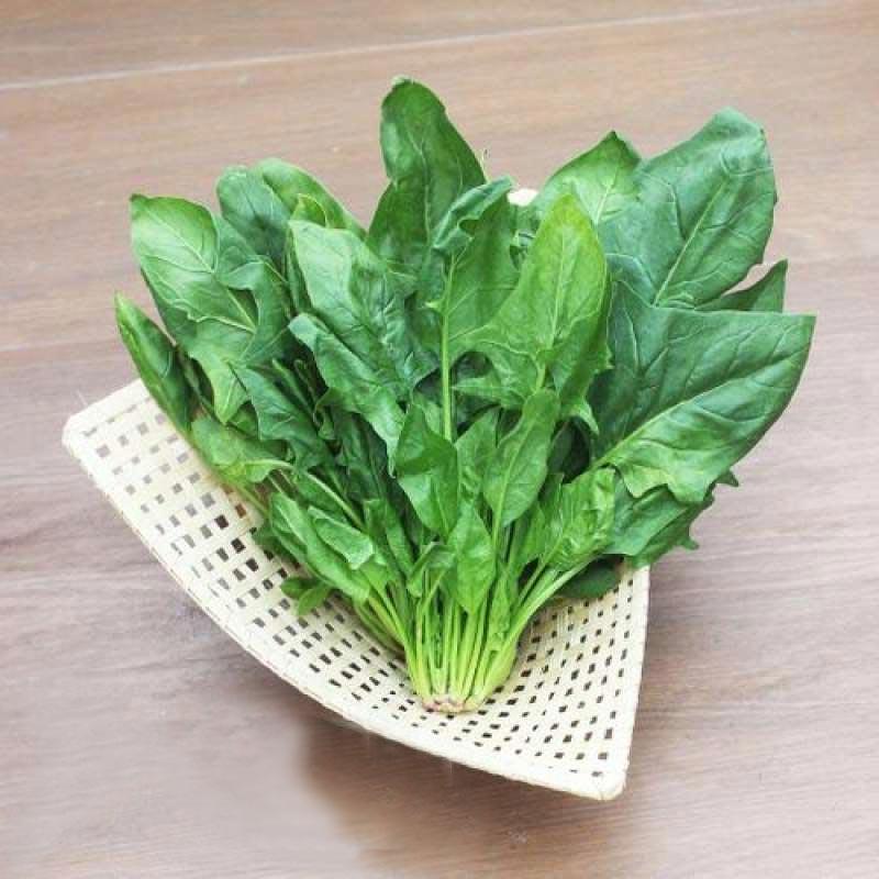 Promo Rumah Sayur Jakarta Selatan Bayam Jepang - Horenzo - Horenso ...