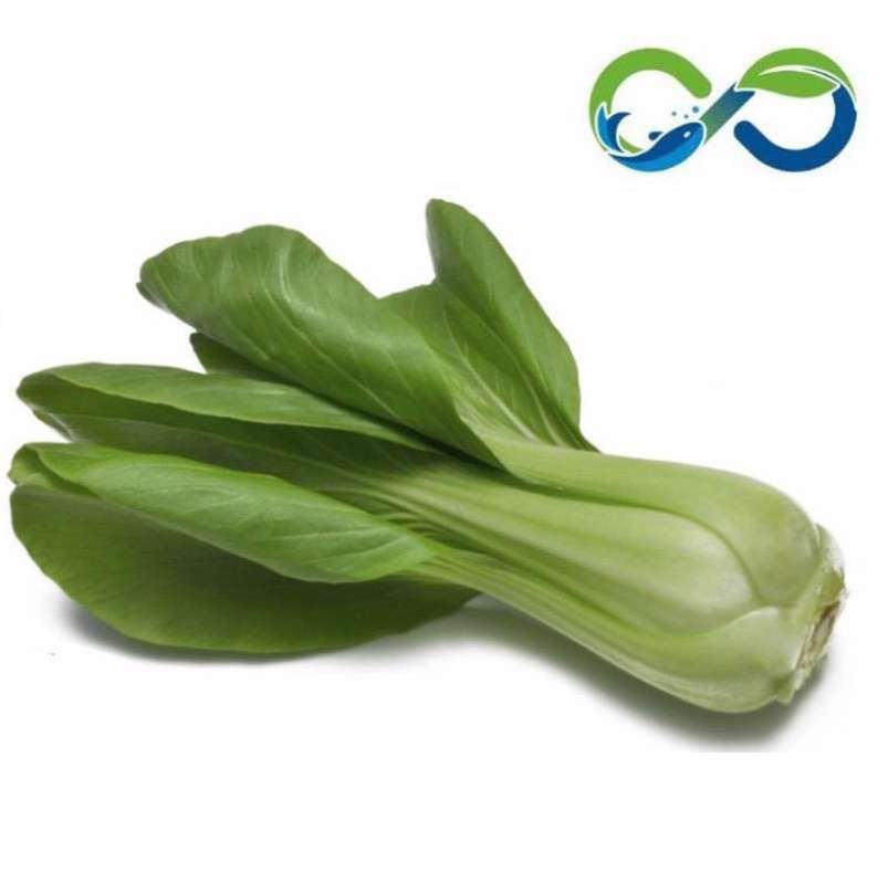 Jual Aqua Eco Farm Pakcoy Sayuran Organik [250 gr] di Seller Aqua Eco ...