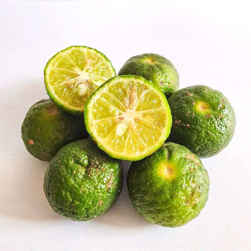 Jual D C Jeruk Limo 1000 G Halal Di Seller Semua Bisa Dari Rumah By D jual-d-c-jeruk-limo-1000-g-halal-di-seller-semua-bisa-dari-rumah-by-d