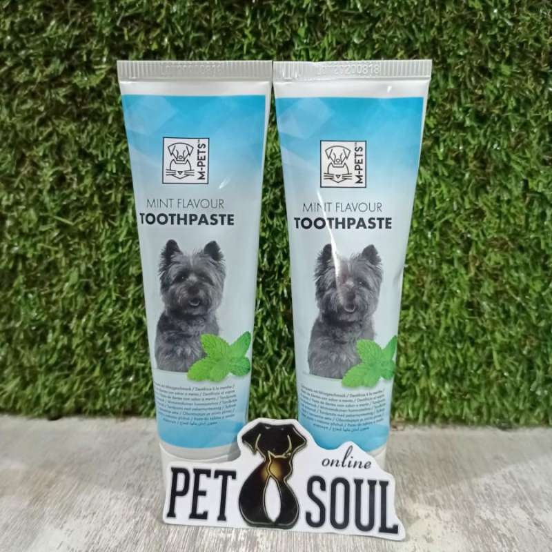 Jual Pasta Gigi Anjing M-Pets Toothpaste 100gr Rasa Mint / Dog ...