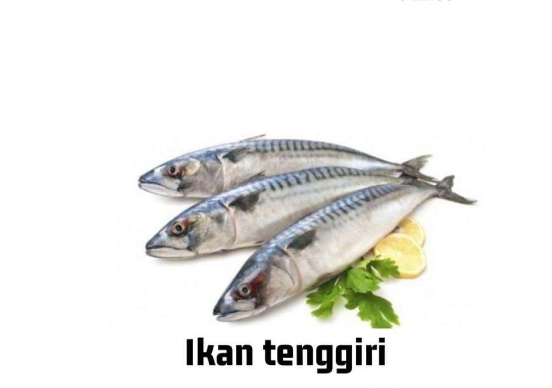 Jual Onlinefresh.id Ikan Tenggiri di Seller Onlinefresh ID - Tidung ...