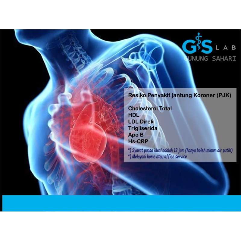 Jual Laboratorium Klinik Gunung Sahari Paket Pengecekan PJK (Penyakit ...