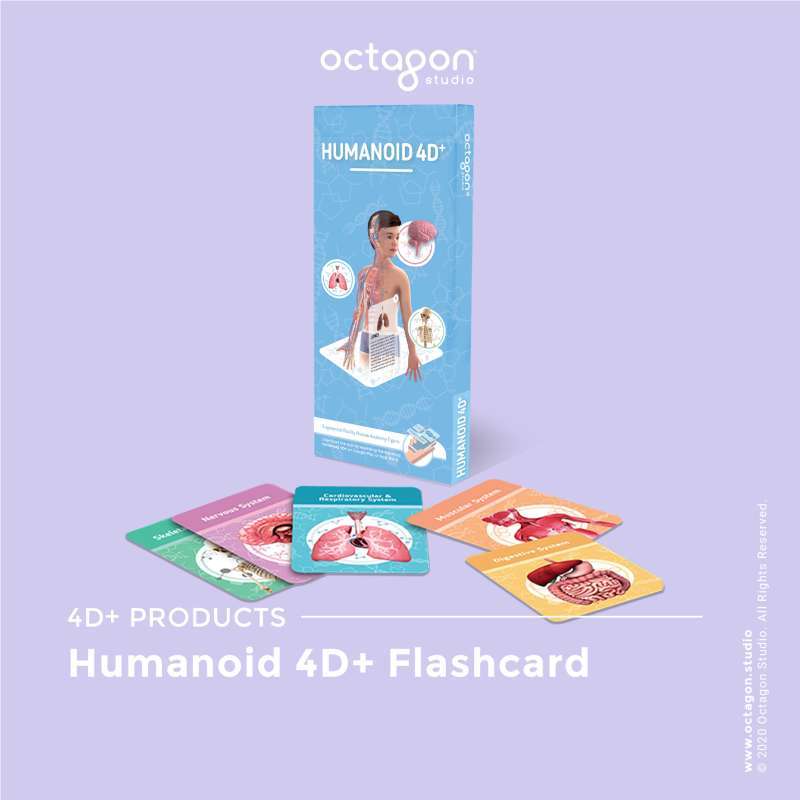 Jual Octagon Studio Kartu Humanoid 4D+ - Augmented Reality Flashcards ...