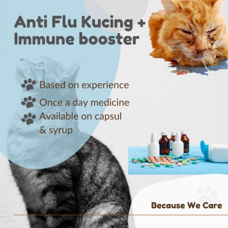 Jual Obat Flu Kucing Dokter Hewan Di Seller Afifah Tick - Tegal Parang ...
