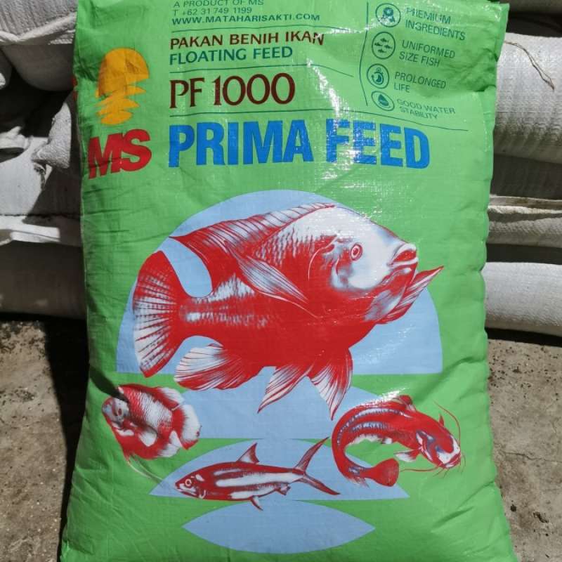 Jual Pakan Ikan Pf 1000 Termurah - Harga Grosir Terupdate Hari Ini | Blibli
