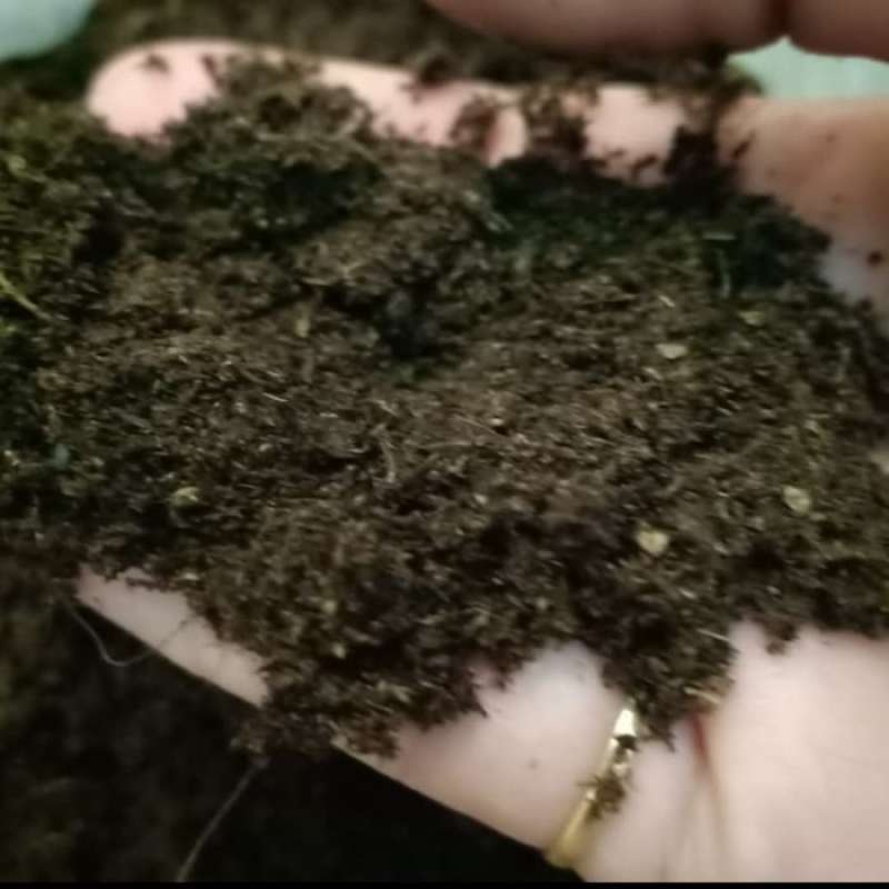 Promo Peat Moss 1 kilo PH balance media steril, asli bukan oplosan ...