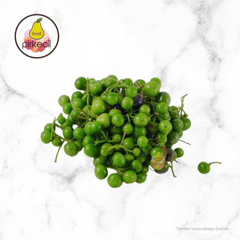 Promo [Pirkecil] Leunca hijau - pokak - terung pipit Sayur 100 gr Halal ...