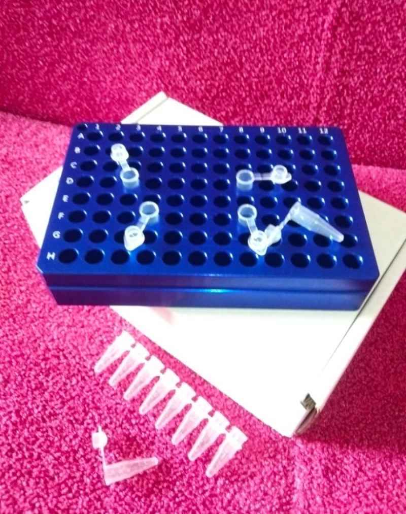 Promo PCR Cooling Block Aluminium for Tube 0.2 ml x 96 Well PCR Cooler ...