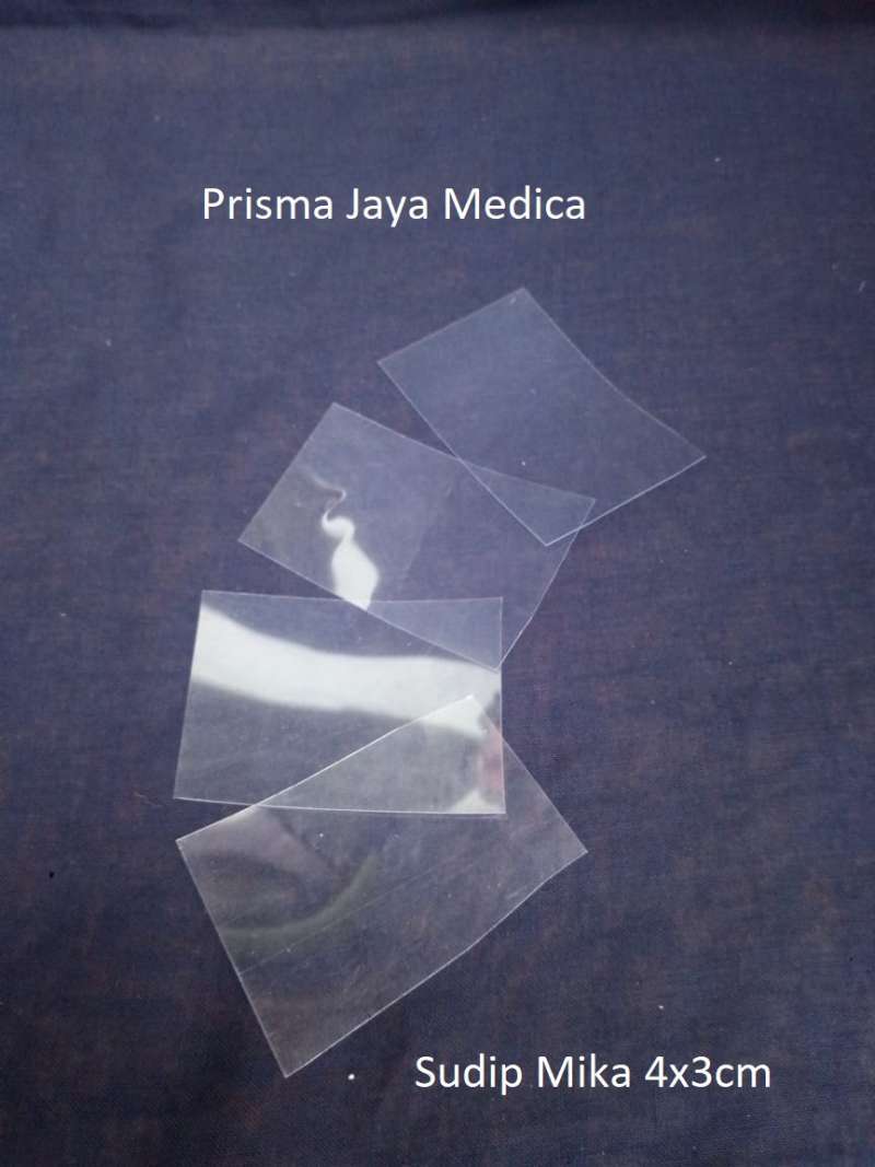 Jual Sudip Plastik Mika Pengaduk Puyer 4cm X 3cm Di Seller Prisma ...