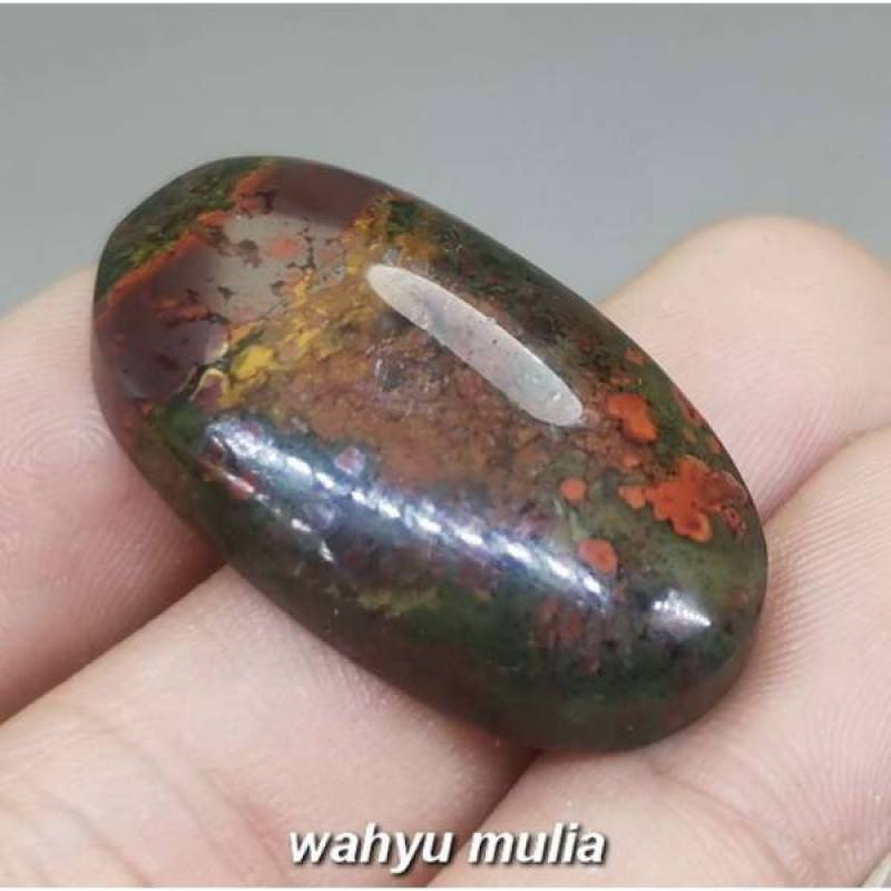 Bercak Hitam Batu Merah