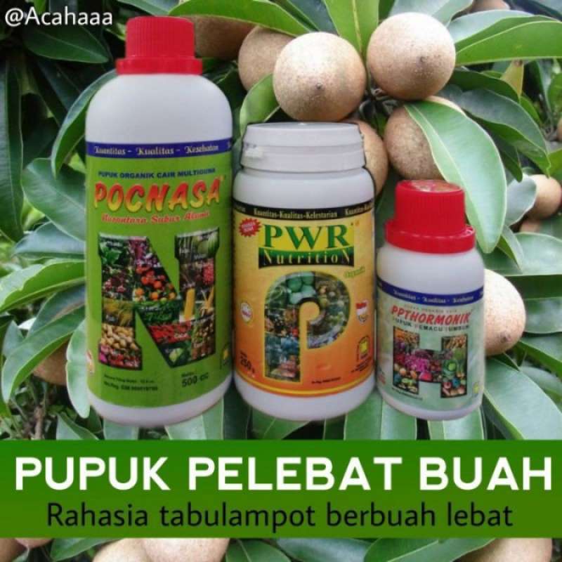 Promo Paket Pupuk Pelebat Buah Pupuk Organik Cair Poc Nasa Hormonik Power Diskon 34% Di Seller ...