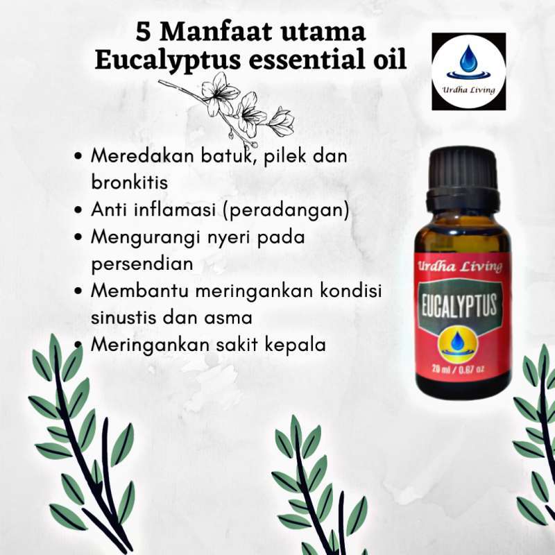 Jual Eucalyptus Urdha Living Therapeutic Grade Essentials Oil 10 Ml Di Seller Jasmine Aromatic ...