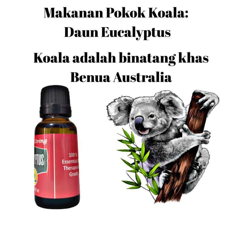 Jual Eucalyptus Urdha Living Therapeutic Grade Essentials Oil 10 Ml Di Seller Jasmine Aromatic ...