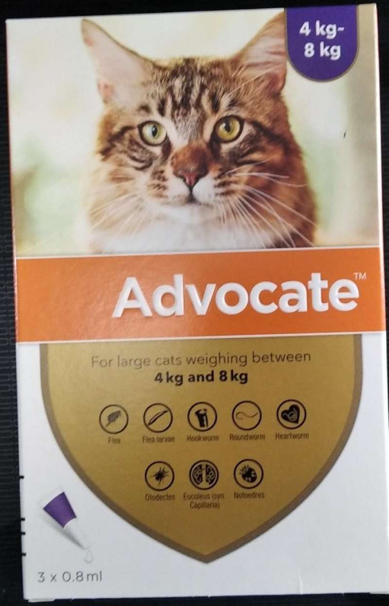 Promo ADVOCATE CAT-OBAT KUTU-CACING TETES KUCING - berat 4-8kg -PER ...