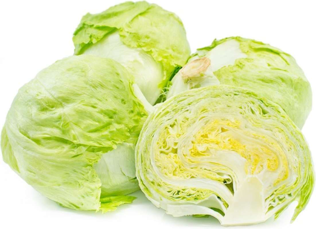 Jual Selada Bokor 1 Kg Termurah - Harga Grosir Terupdate Hari Ini | Blibli