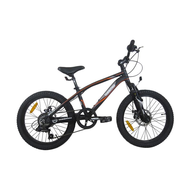 Jual TABIBITHO 2.0 AG Mischief Sepeda MTB [20 Inch] di Seller TOKO ...
