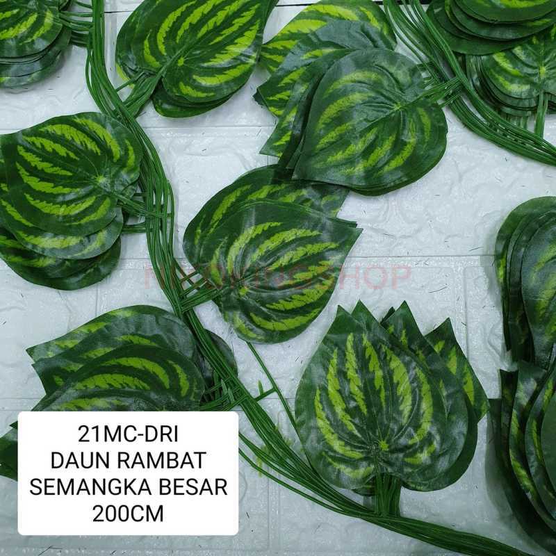 Promo DAUN RAMBAT SEMANGKA BESAR 21MC-DRI KECIL 21MCH-DRH 200CM PER 1 ...