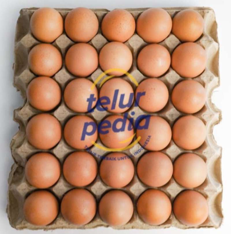 Jual Kertas Omega Original Harga Termurah Agustus 2024 | Blibli