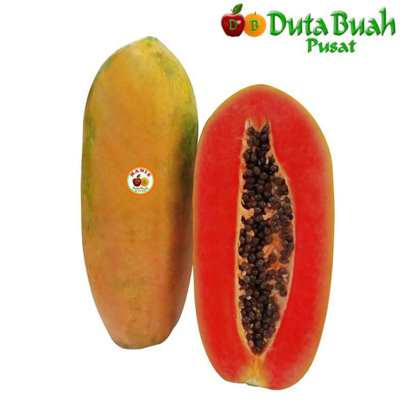 Jual Pepaya Calina 1 Kg Termurah - Harga Grosir Terupdate Hari Ini | Blibli