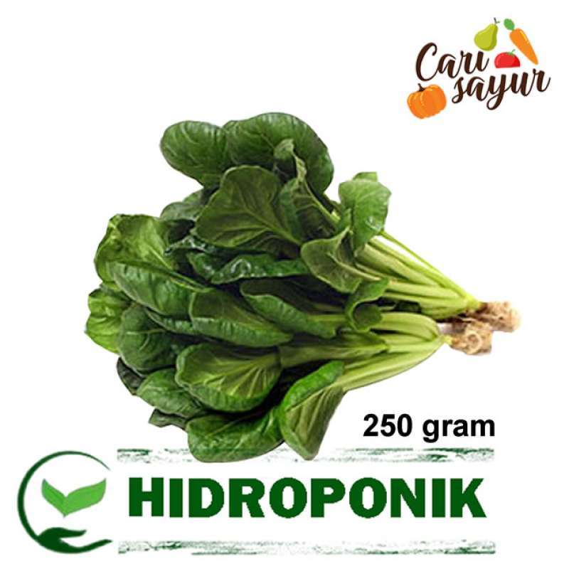Jual Cari Sayur - Pagoda Hidroponik [250 Gr] Di Seller Cari Sayur ...