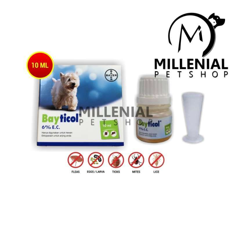 Jual Bayticol Dog Obat Kutu Tetes Caplak Pinjal Tungau Anjing 10 Ml di ...