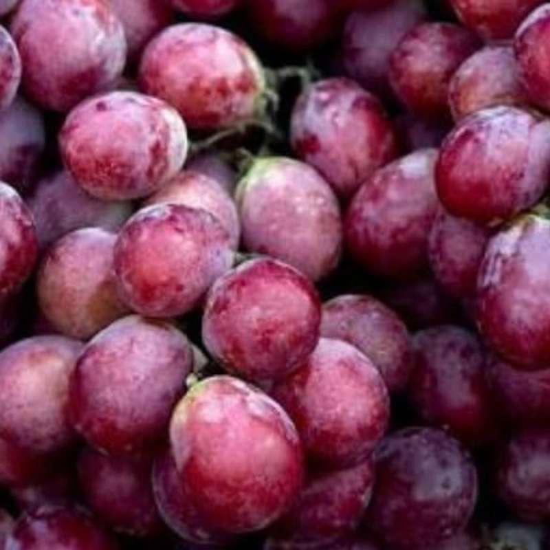 Promo Bandung Buah Anggur Merah segar manis 1kg promo murah diskon ...