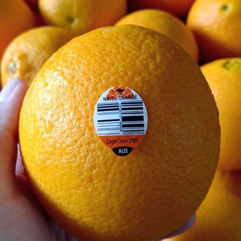Jual Jeruk Sunkist Navel Australia 1kg Di Seller Semangatpagi_store ...