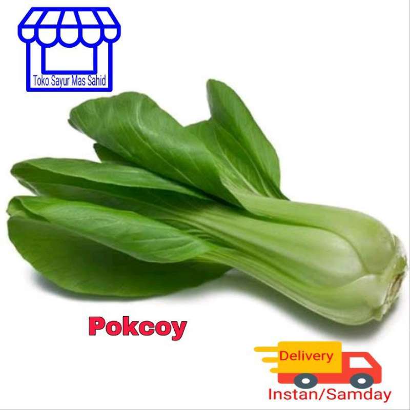 Jual Daun Pokcoy sayur pakcoy || berat 250 gram Halal di Seller Toko ...