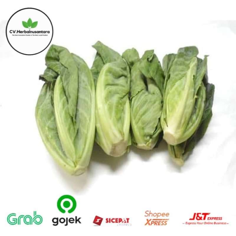 Jual Keciwis Sayur 250 gr / Premium Quality Herbalnusantara di Seller ...
