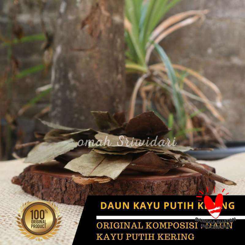 Jual Daun Kayu Putih Kering-Eucalyptus-Ekaliptus ORIGINAL HERBAL di ...