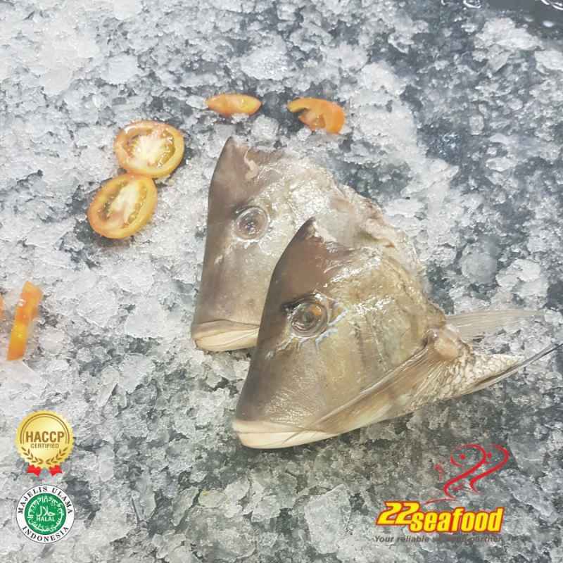 Jual Kepala Ikan Katamba/lencam 1kg - 22 Seafood Halal Di Seller 22 ...