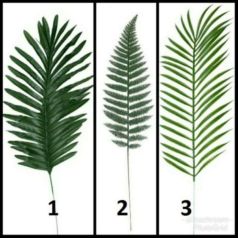 Jual Daun Pakis Palem Plastik Hias Artificial Dekorasi Rumah Pesta di ...