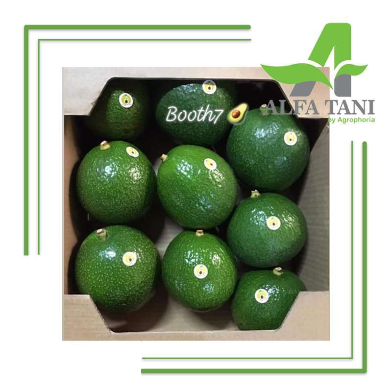 Jual Pupuk Yara Winner 50 Kg / Pupuk Grower Di Seller Toko Alfa Tani ...