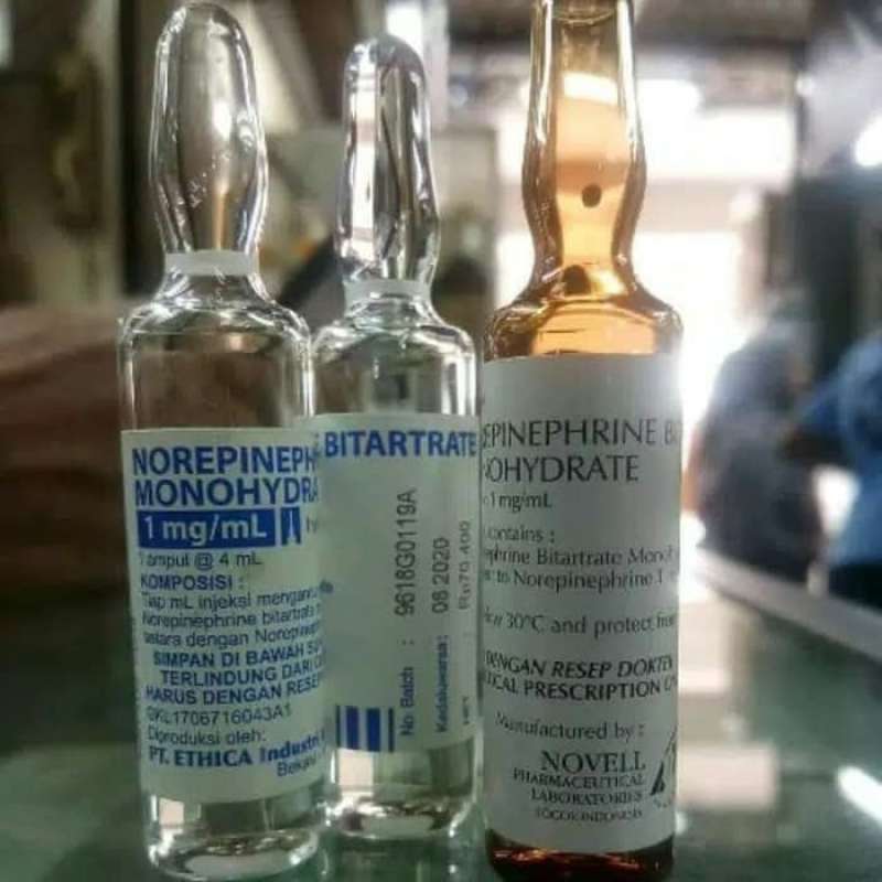 Norepinephrine Injeksi Lengkap Harga Terbaru Juni 2024 | Blibli