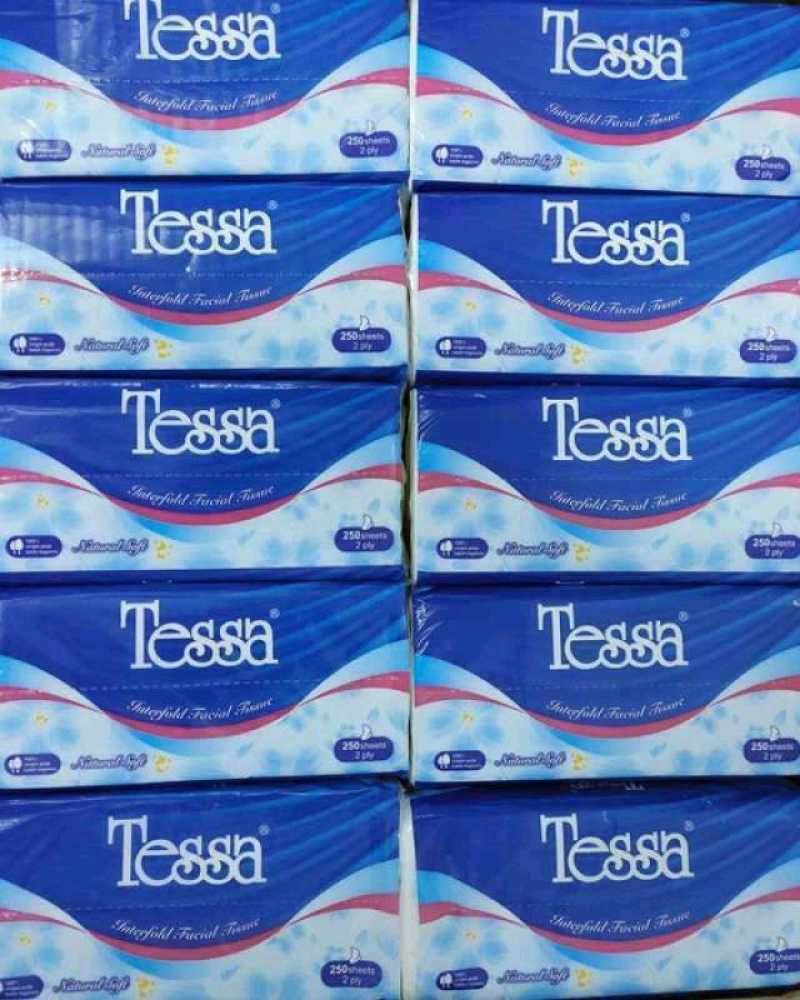 Jual Tessa Natural Soft Facial Tissue [250 Sheets/ 2 Ply] Tisu Tesa 1 ...