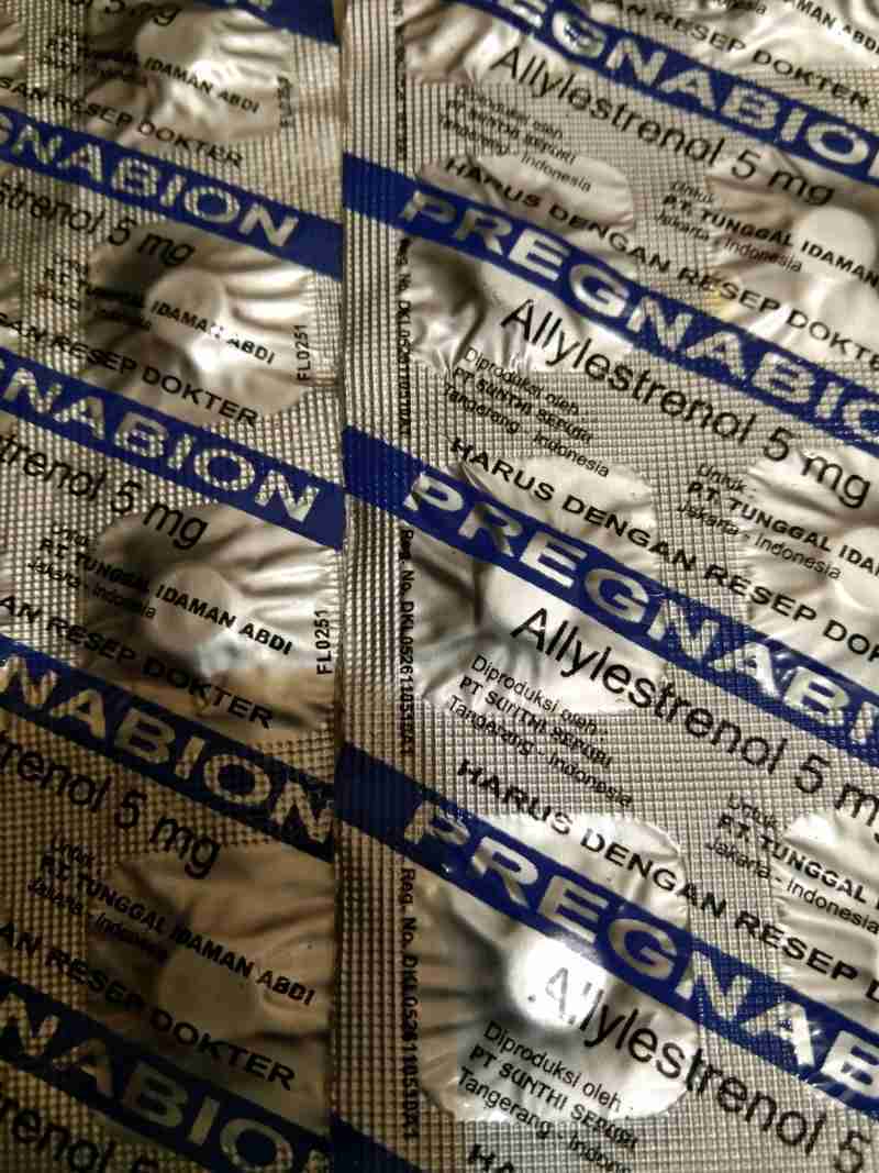 Jual Pregnabion Harga Per Strip Di Seller Langkasukaherb - Kelapa ...