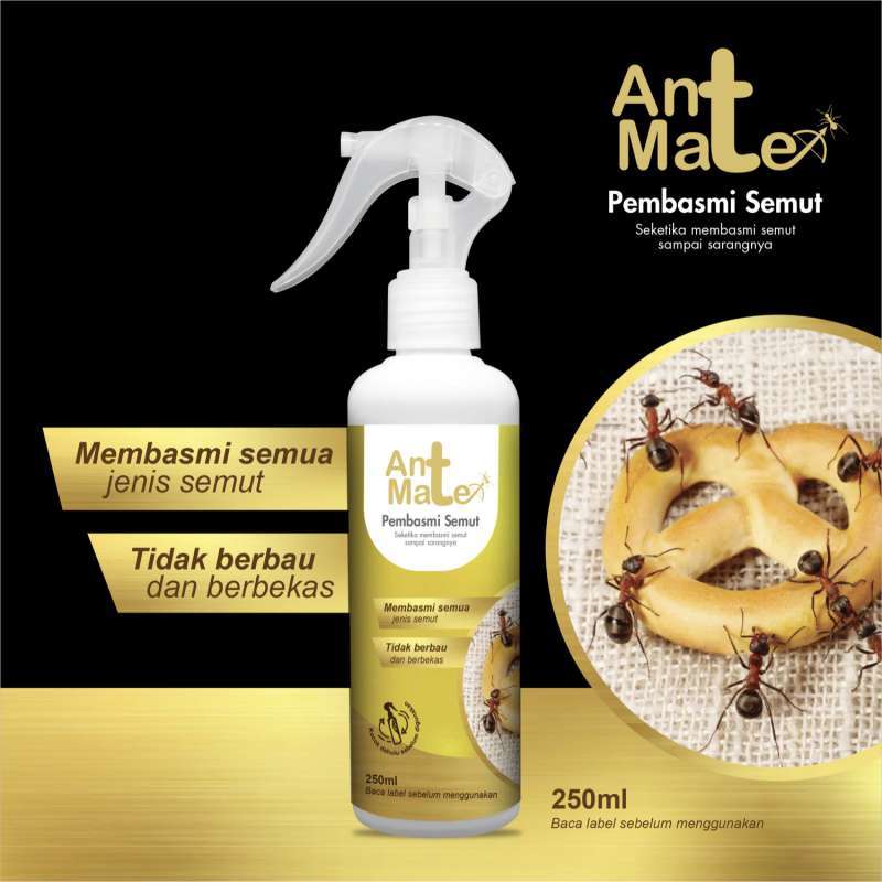 Jual Antmate – Pembasmi Semut – 250 Ml Semprot Insektisida Pembasmi ...