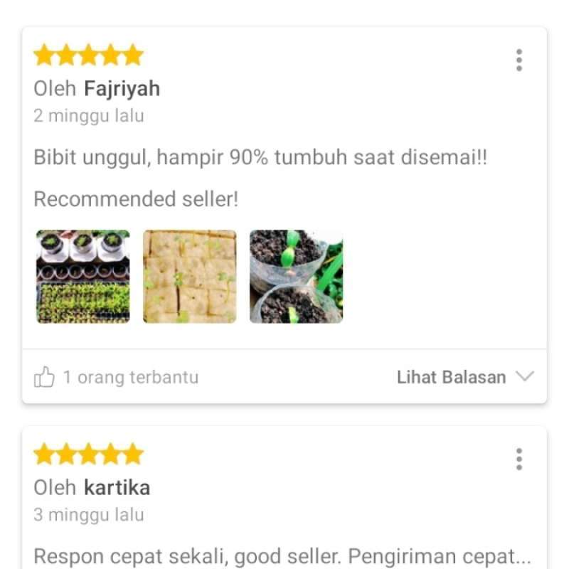 Jual Paket Hemat!!! Benih Sayuran 13 Jenis Bibit Sayur Dan Buah Di ... Jual Paket Hemat!!! Benih Sayuran 13 Jenis Bibit Sayur Dan Buah Di ...