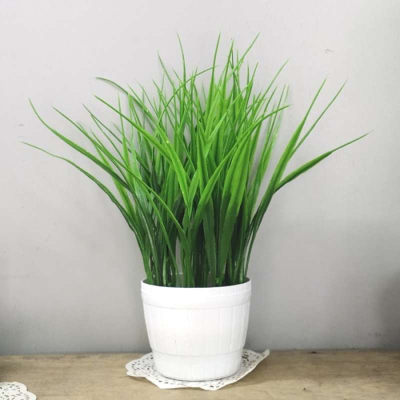 Jual Gratis Ongkir Tanaman Hias Rumput Palsu / Bunga Plastik / Rumput ...