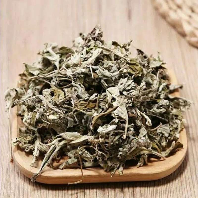 Jual DAUN BARU CINA / Mugwort KERING 1 KG - Artemisia Vulgaris - MURN ...