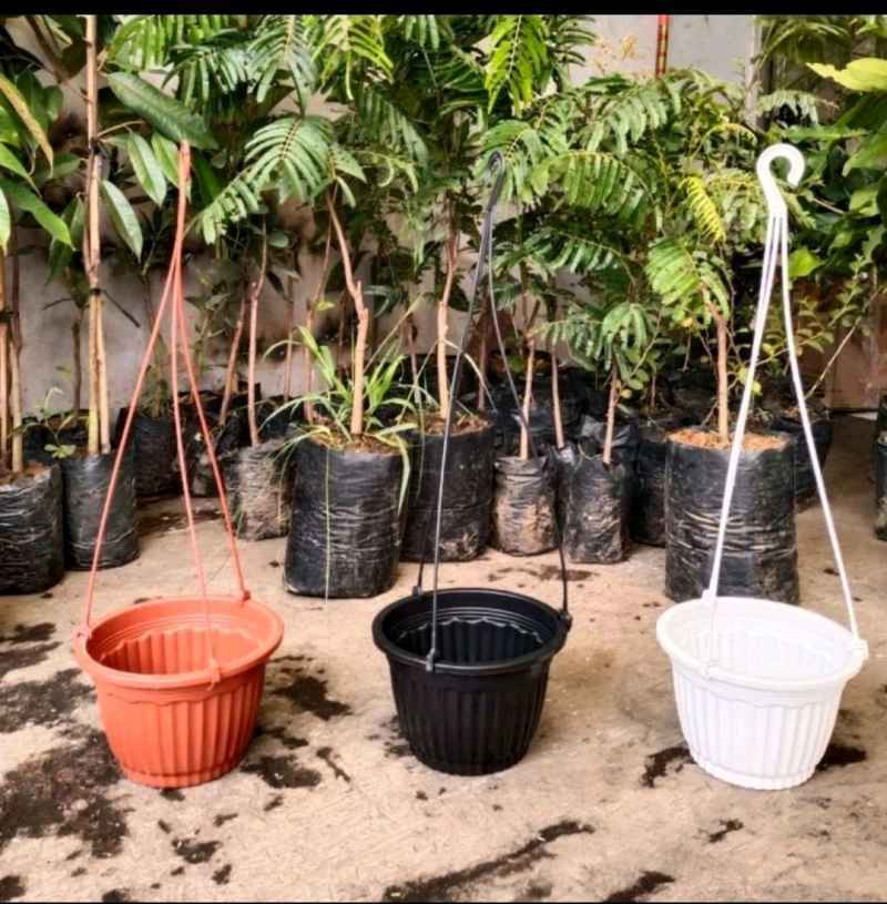 Jual Pot gantung putih,pot pumba 20 putih,pot gantung 1 set gantungan ...