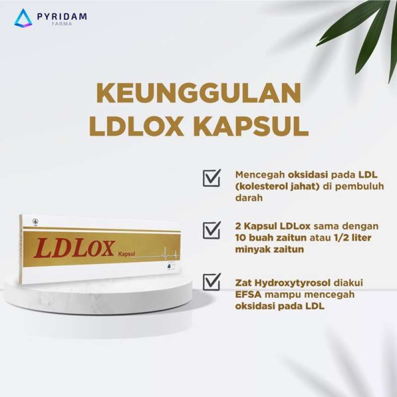 Jual Ldlox Antioksidan Ekstrack Zaitun - 30 Kapsul Di Seller Yusapharma ...