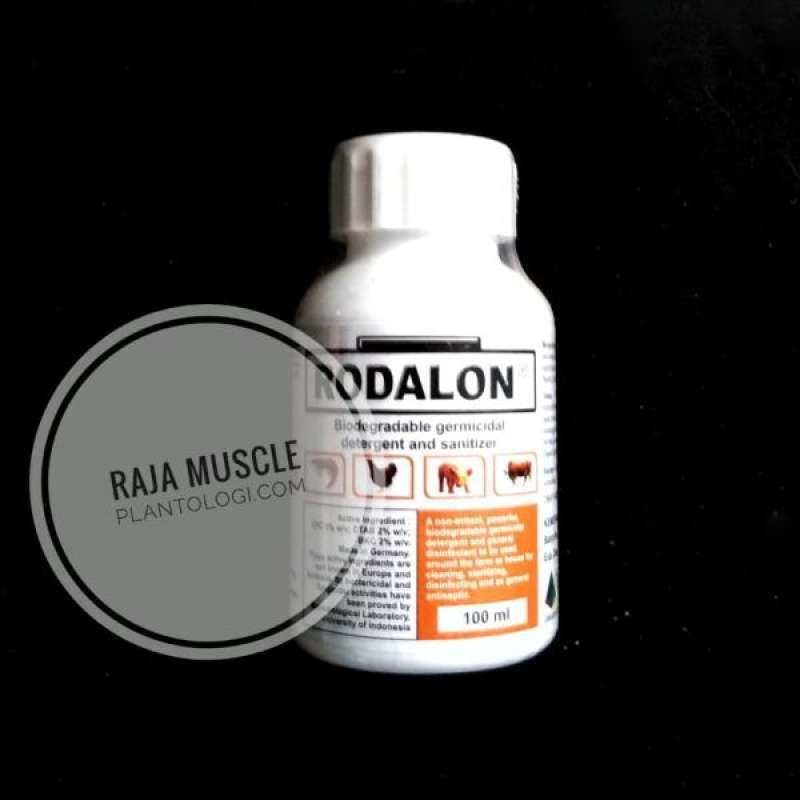 Jual Obat - 100Ml Disfektan Antiseptik Rodalon Kandang Hewan Ternak di ...